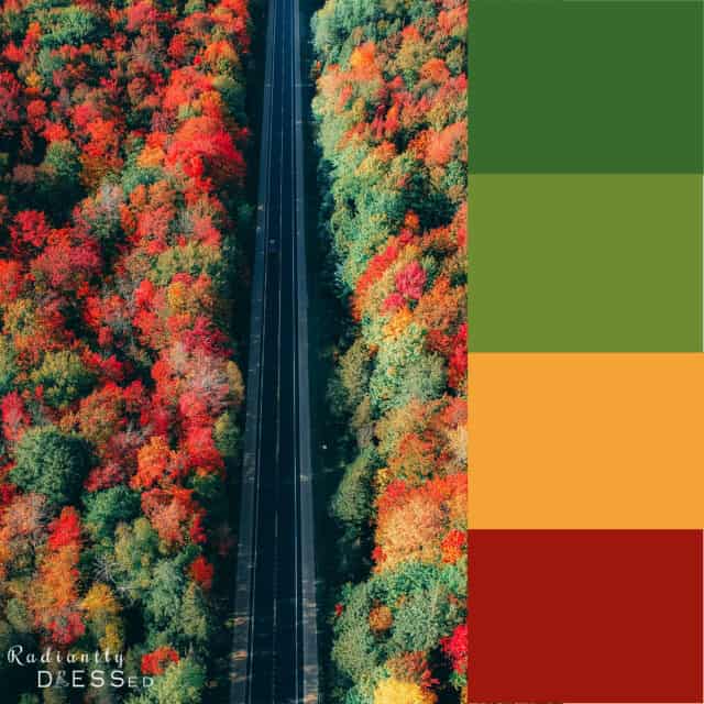 All About Warm Autumn: Explore the 12 Seasons at Radiantly Dressed