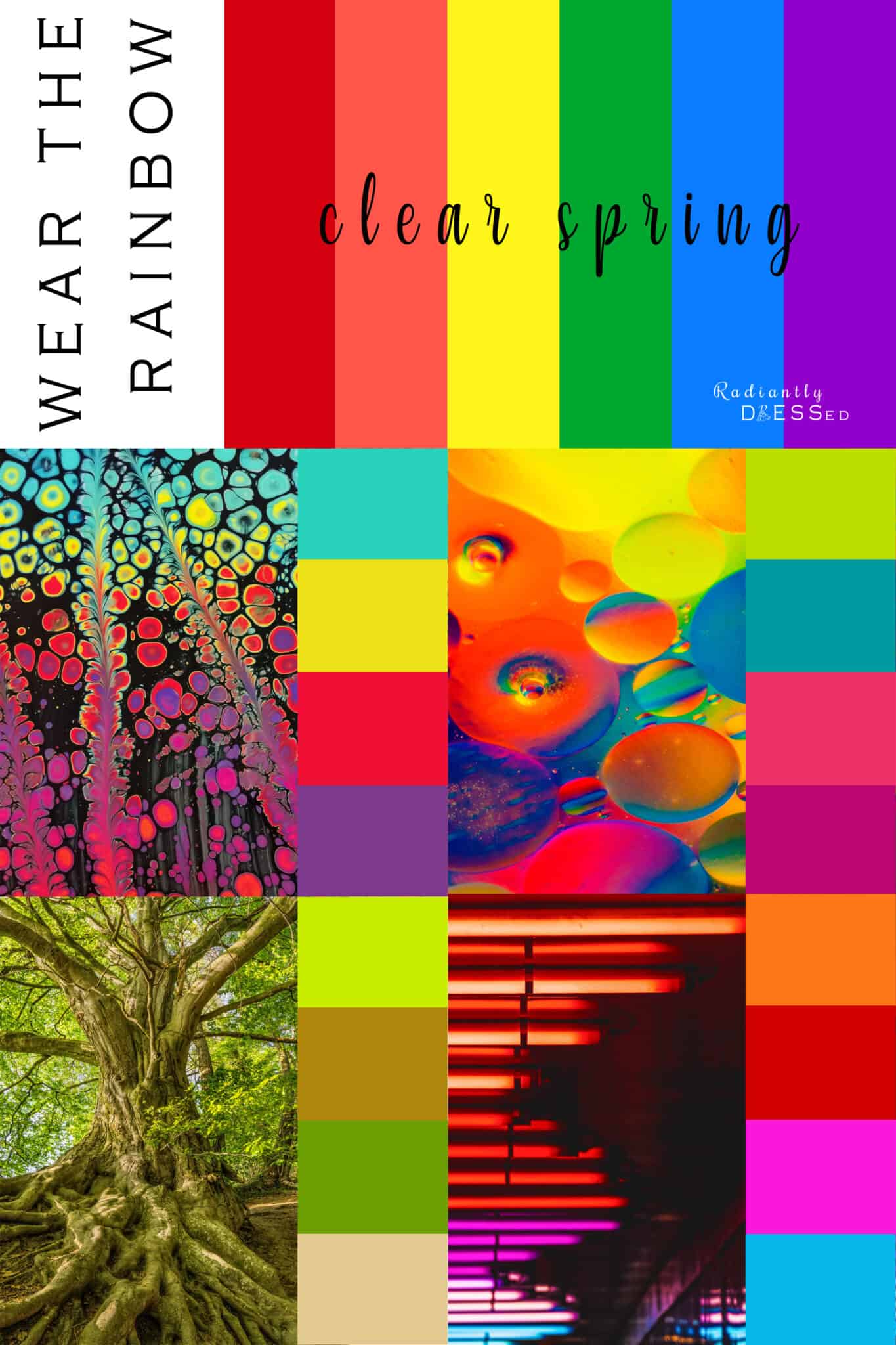 All About Clear Spring: Explore the 12 Seasons at Radiantly Dressed