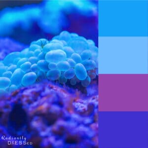 All About Clear Winter: Explore the 12 Seasons at Radiantly Dressed