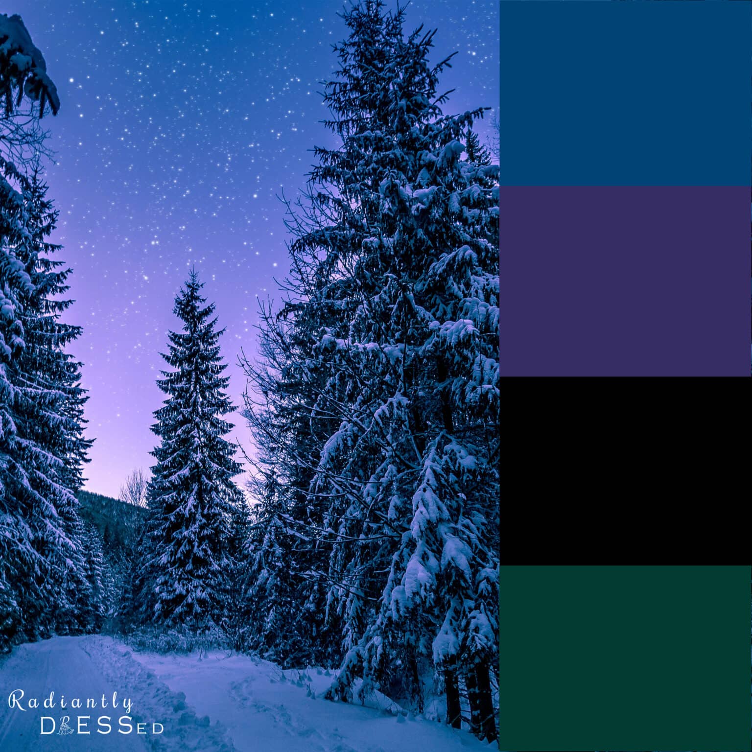 All About Cool Winter: Explore the 12 Seasons at Radiantly Dressed