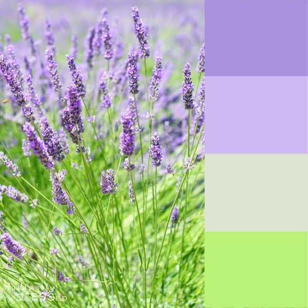 All About Light Spring: Explore the 12 Seasons at Radiantly Dressed