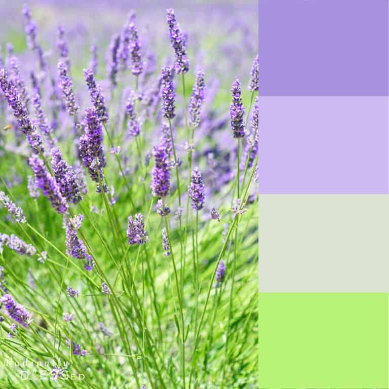 All About Light Spring: Explore the 12 Seasons at Radiantly Dressed