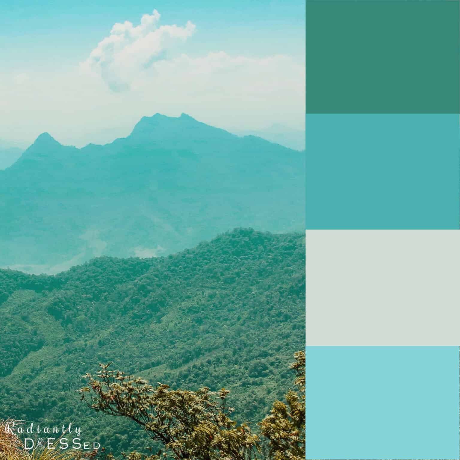 The Definitive Guide to Soft Summer: Explore the 12 Seasons at ...