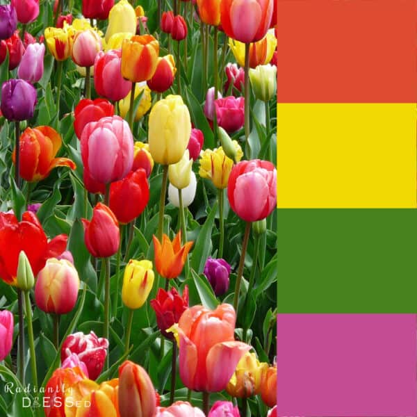 All About Warm Spring: Explore the 12 Seasons at Radiantly Dressed