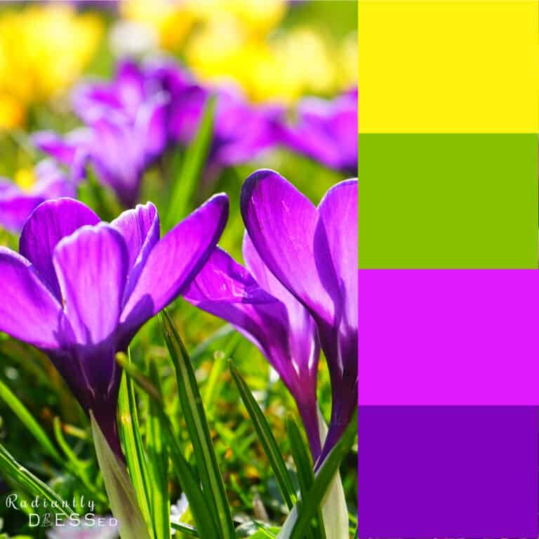 All About Warm Spring: Explore the 12 Seasons at Radiantly Dressed