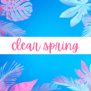 12 Season Color Analysis: Explore the 12 Seasons at Radiantly Dressed ...