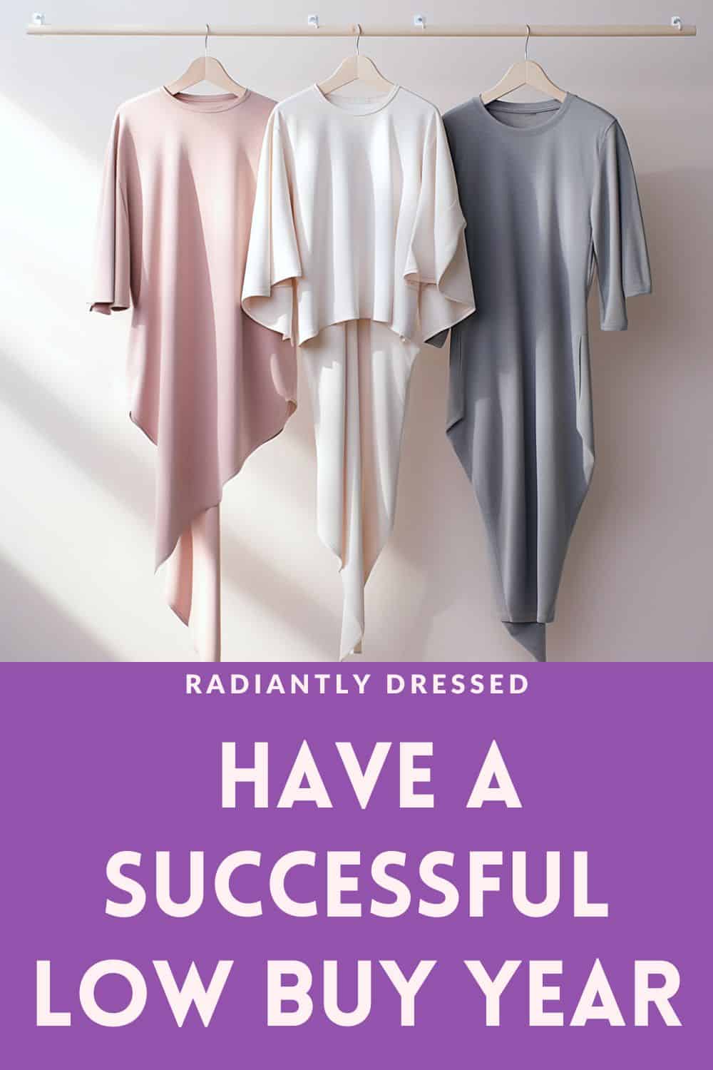 Real-Life Strategies for a Successful Low Buy Year: Navigating a Year ...