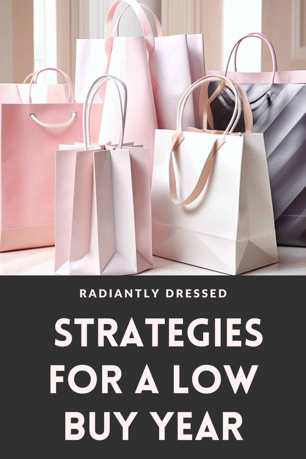 Real-Life Strategies for a Successful Low Buy Year: Navigating a Year ...