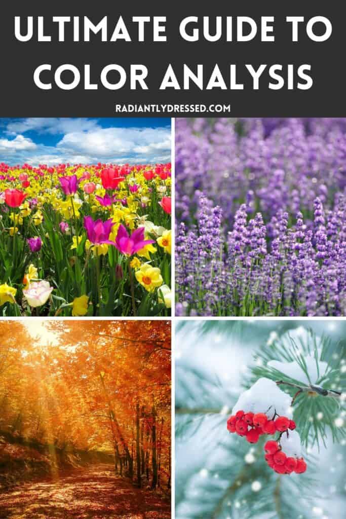 Ultimate Guide to Color Analysis: Determine Your Best Colors