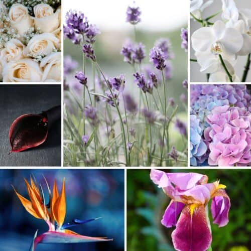 Classic Style Essence: The Ultimate Guide to Fashion, Hair, and Makeup ...