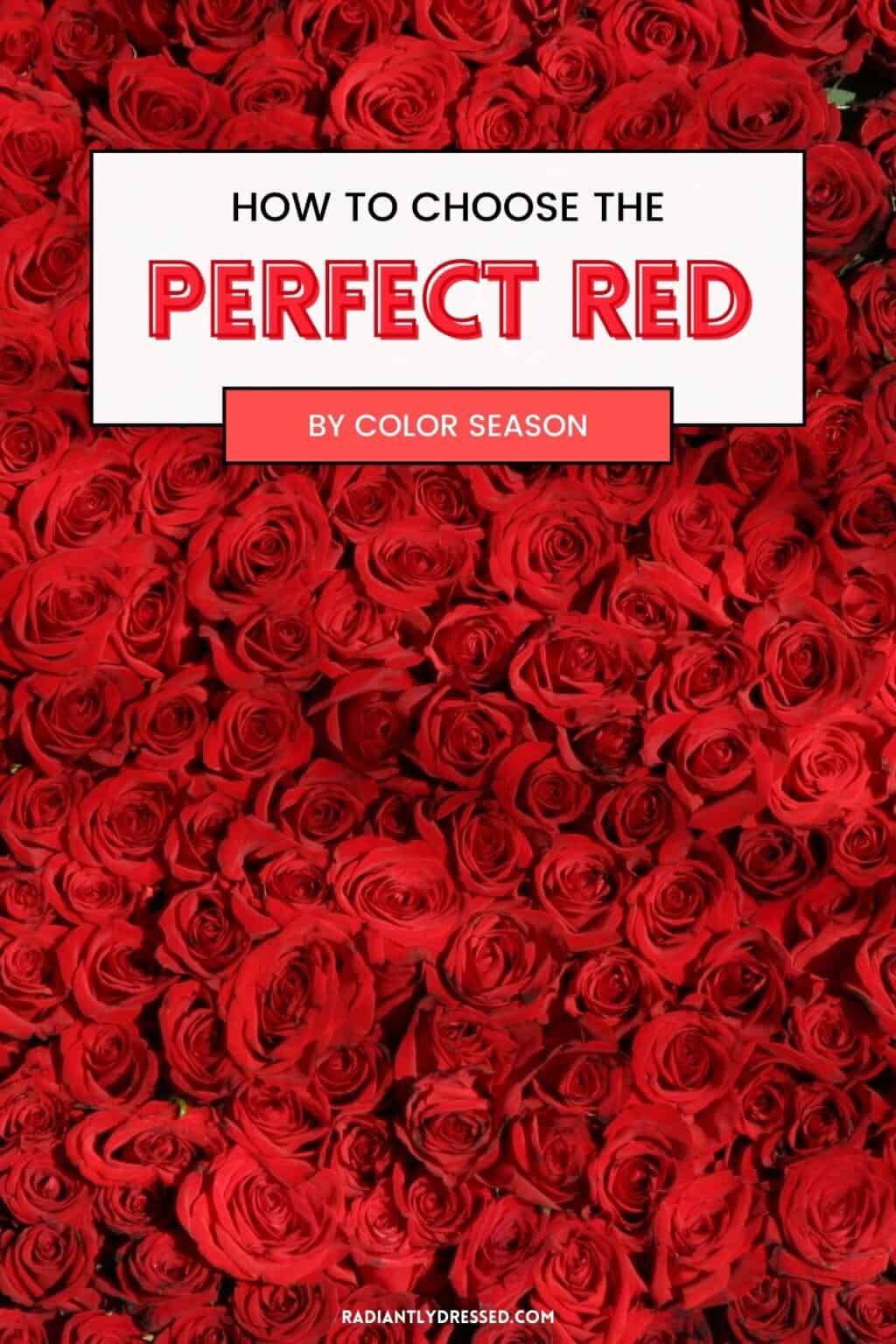 Red for Every Color Season – Find Your Perfect Shade of Red - Radiantly ...