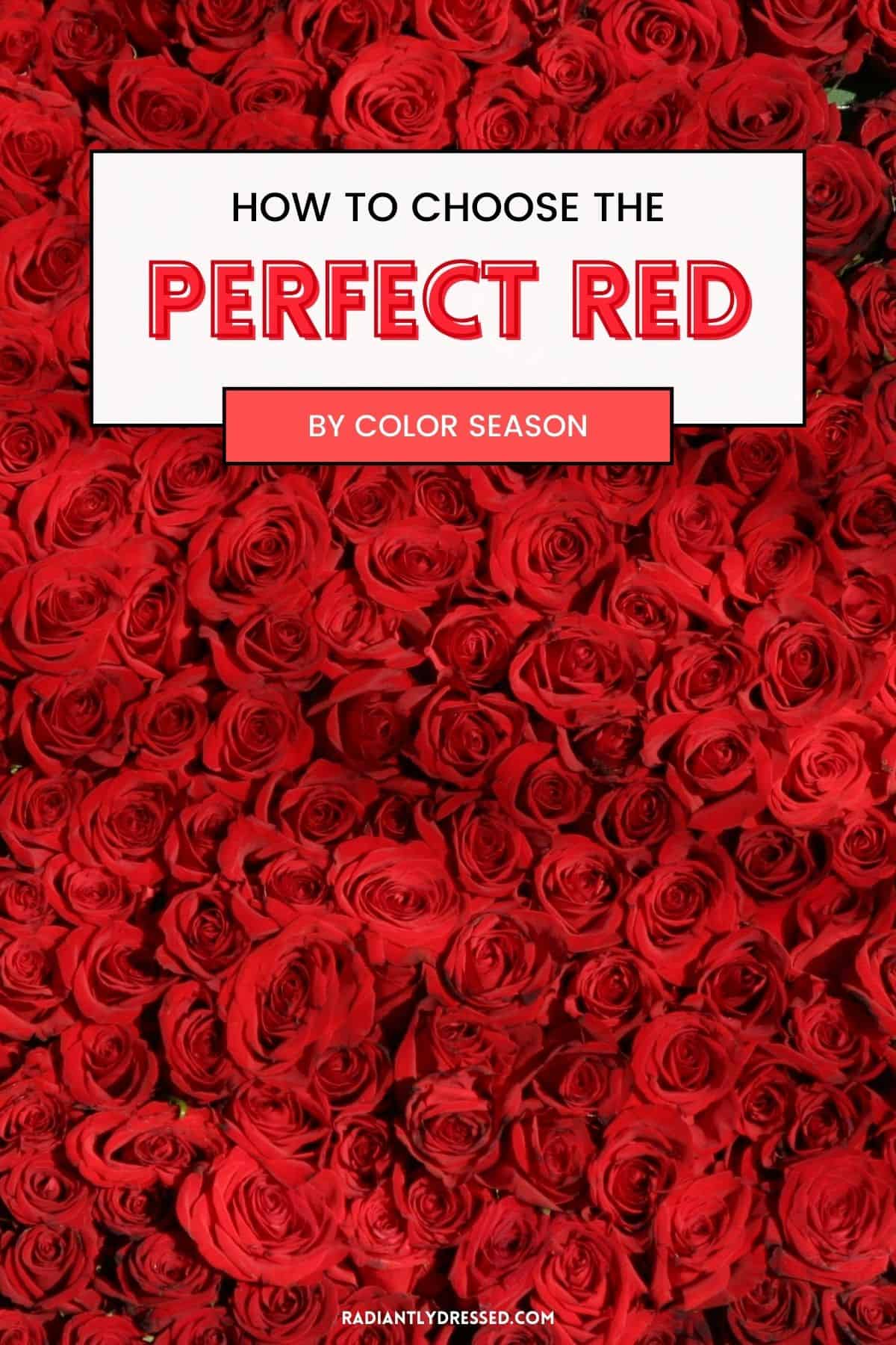 Red for Every Color Season – Find Your Perfect Shade of Red - Radiantly ...