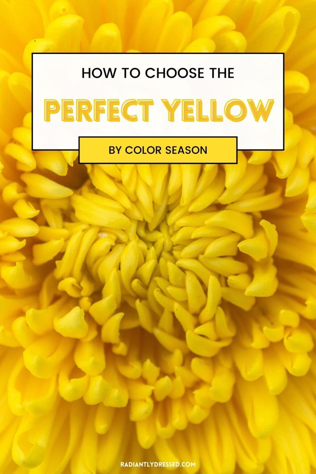 Yellow for Every Color Season – Find Your Perfect Shade of Yellow ...