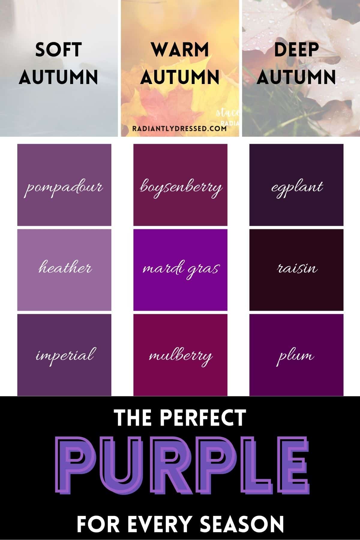 Purple for Every Color Season – Find Your Perfect Purple Hue ...