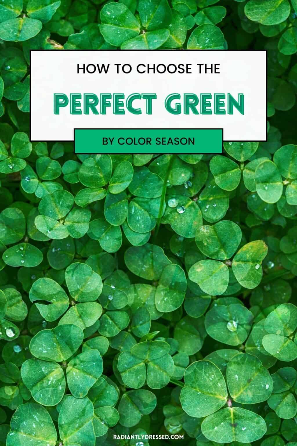 Green for Every Color Season – Find Your Perfect Shade of Green ...