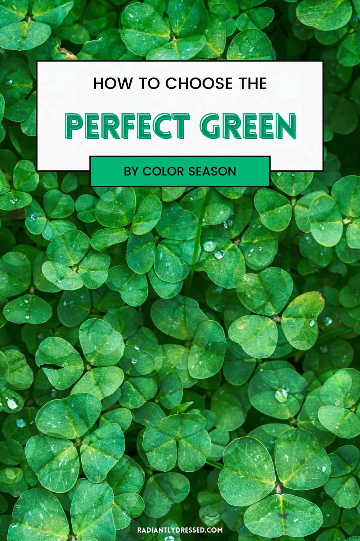 Green for Every Color Season – Find Your Perfect Shade of Green ...
