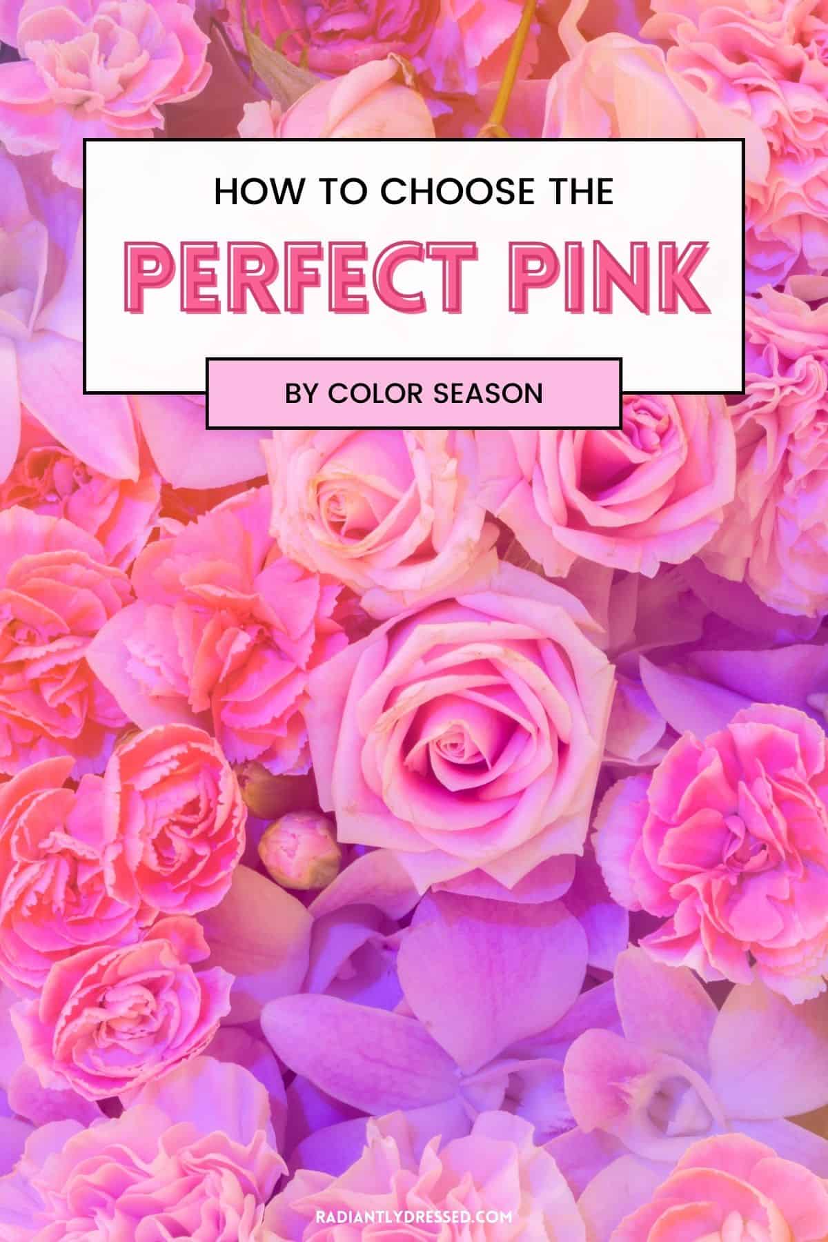 Pink for Every Color Season – Find Your Perfect Pink Hue - Radiantly ...