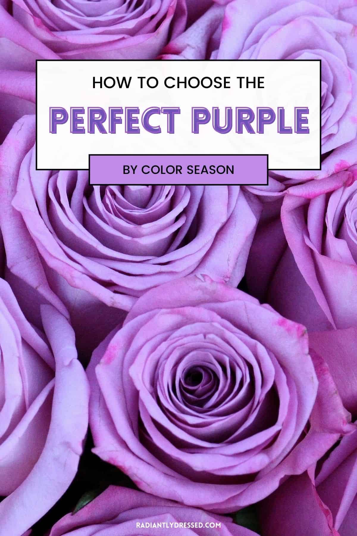 Purple for Every Color Season – Find Your Perfect Purple Hue ...